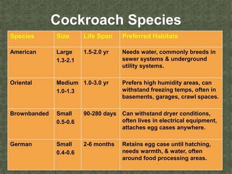 Cockroach Distribution And Classification