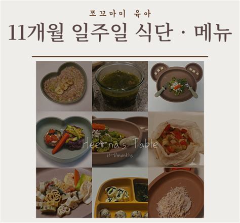 11개월 자기주도 이유식 한 그릇 요리 일주일 식단표 장보기 정보 네이버 블로그
