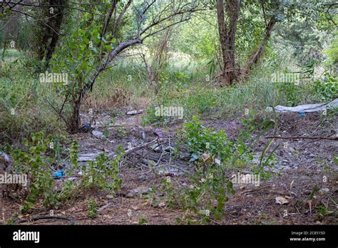 Heaps Of Dirty Garbage Rubbish In Nature Pollution Plastic Human Influence On The Ecology Of
