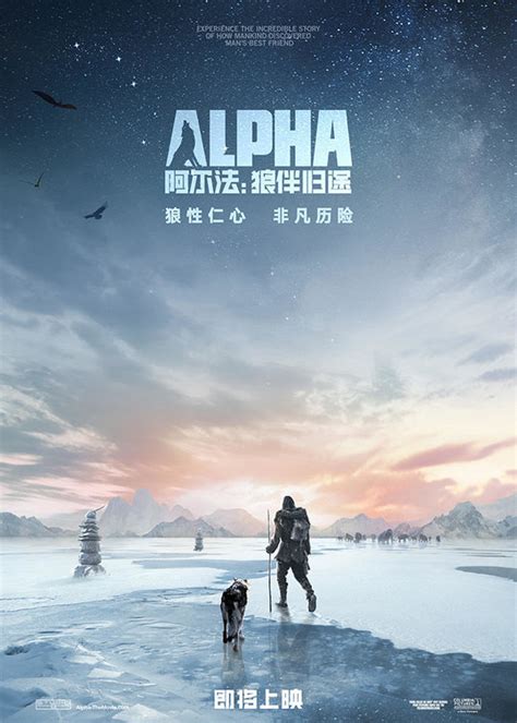 Alpha Movie Poster 6 Of 14 Imp Awards