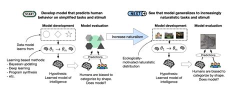 Leveraging Modern Ai To Catalyze A New Era In Naturalistic Computational Cognitive Science