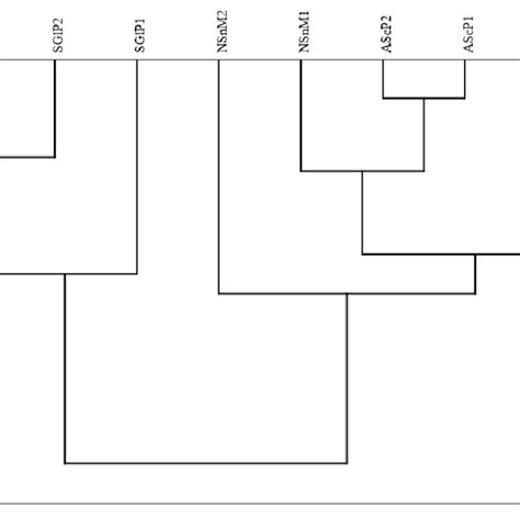 Cluster Analysis Bray Curtis Of The Samples Based On The Investigated Download Scientific