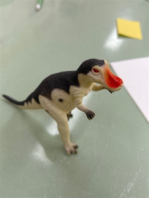 이 공룡 이름이 뭔가요 지식in