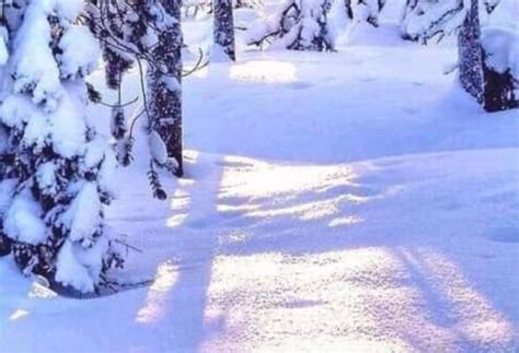 Три щасливі жіночі імені у лютому Саме для них останній місяць зими