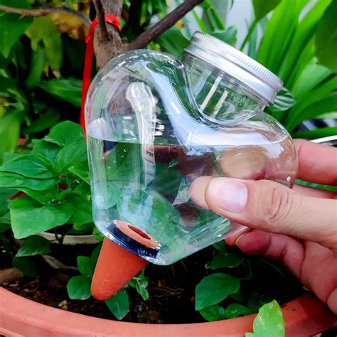 자동 식물 급수 시스템 실내외 식물용 500ml 자가 급수 글로브 배터리 필요 없음 정원 도구 및 잔디 관리 Temu Republic Of Korea