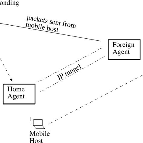The Radius Network Of A Mobile Ip Agent Download Scientific Diagram