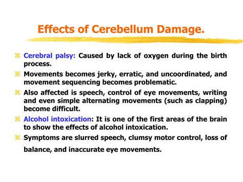 Ppt Biological Bases Of Behaviour Lecture 10 Movement Powerpoint Presentation Id 5177565
