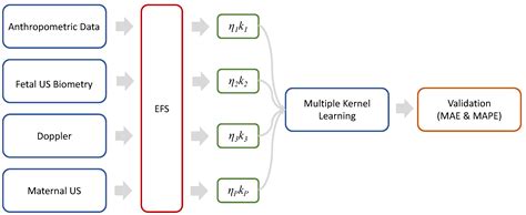 Multimodal Early Birth Weight Prediction Using Multiple Kernel Learning