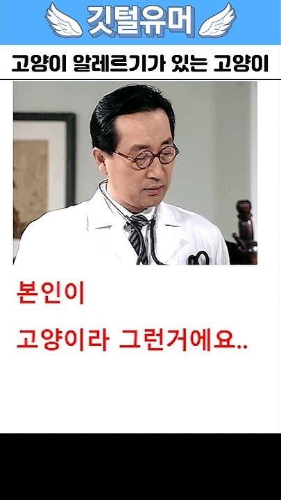 고양이 알레르기가 있는 고양이 Youtube