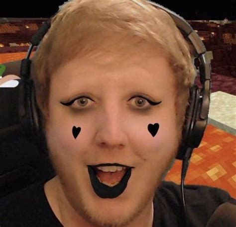 The Wild Alex Has Joined With Some Memes R Dsmp