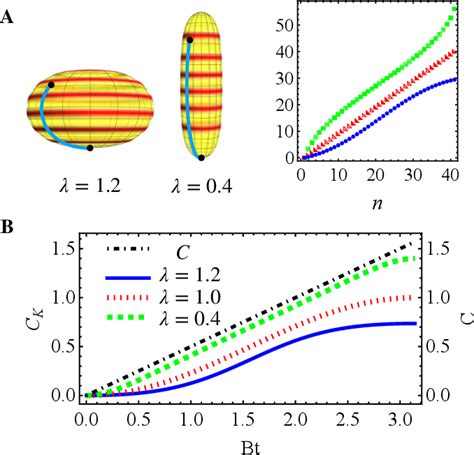 Figure 2 From Building Krylov Complexity From Circuit Complexity