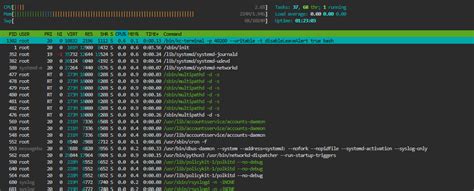 linux uptime command with examples geeksforgeeks