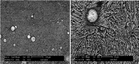 The Sem Micrographs Of The Alloyed Surface At High And Low