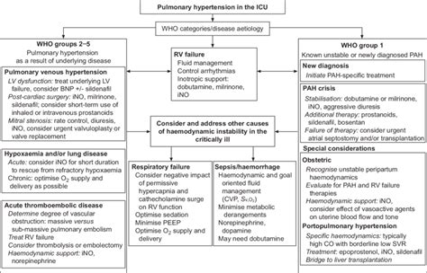 Management Algorithm For Patients With Pulmonary Hypertension In The Download Scientific
