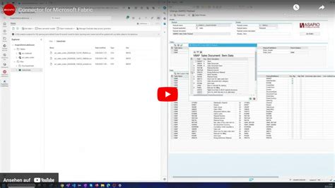Microsoft Fabric Connector Asapio