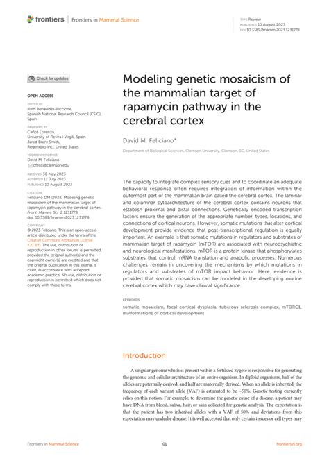 Pdf Modeling Genetic Mosaicism Of The Mammalian Target Of Rapamycin Pathway In The Cerebral Cortex