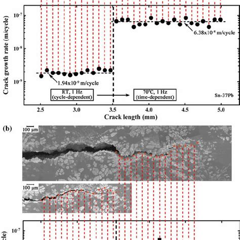 Fatigue Crack Path Observation And Crack Growth Rate Versus Crack