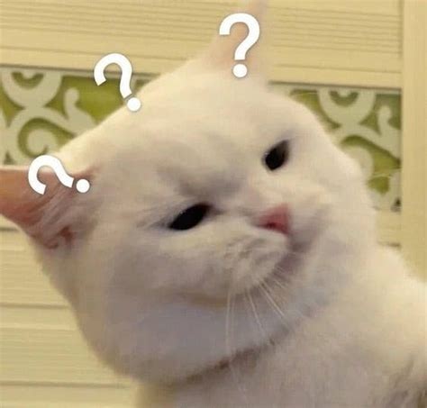 Tổng Hợp Meme Khó Hiểu Hài Hước