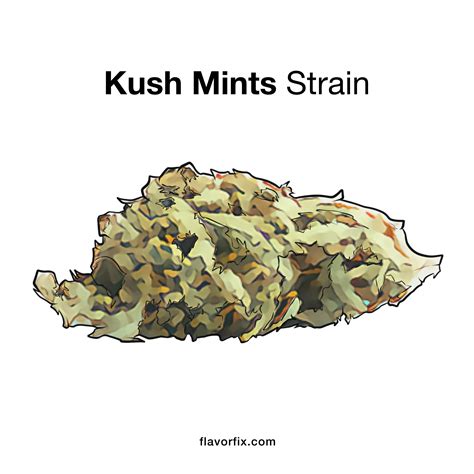 Kush Mints Strain Info Cannabis Strains Flavor Fix
