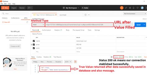 How To Use Postman Api Client