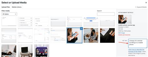 How To Write Alt Text For Images Best Practices Examples