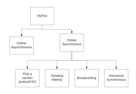 Hyflex Teaching Purdue