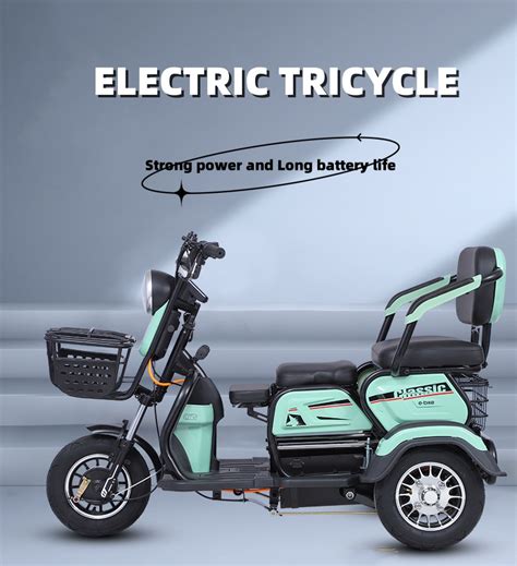 Adults E Trike Wheel Electric Tricycles Cargo Bike Passenger V Lead Acid Battery Motorcycle