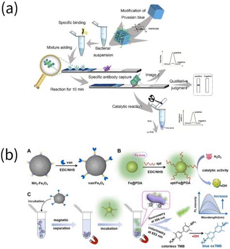 Nanozyme Biosensors For Food Safety Review Biosensors Mdpi Posted On The Topic Linkedin