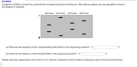 Solved 4 Marks A Fragment Of Dna Is Cloned Into A Plasmid