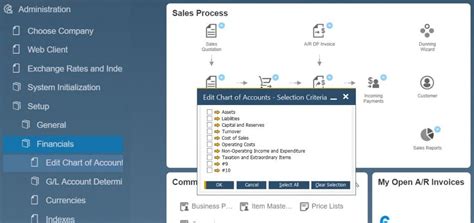 SAP Business One In Depth Review Financial Accounting FireBear