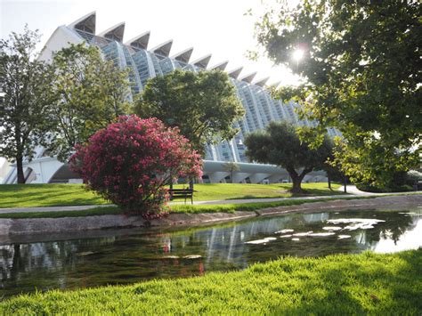 A Stroll Through The Turia Riverbed In Valencia Complete Guide Concept Flats Valencia