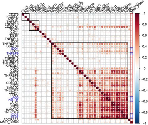 Association Between Icgs And Mmr Gene Mutations In Ec Spearman Download Scientific Diagram