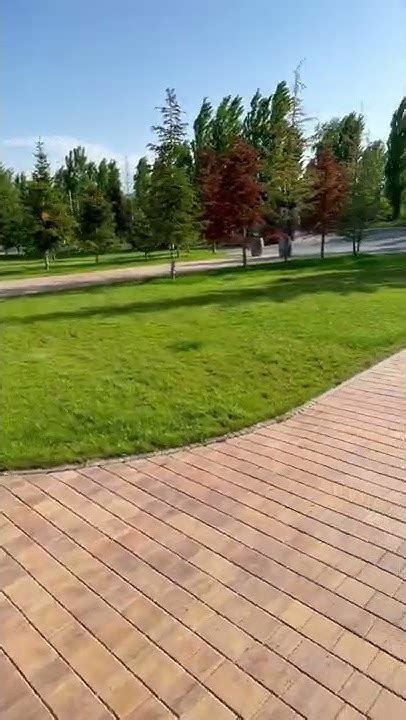 რესტორანი ვილა პარკი ლეგის ფილებით Youtube