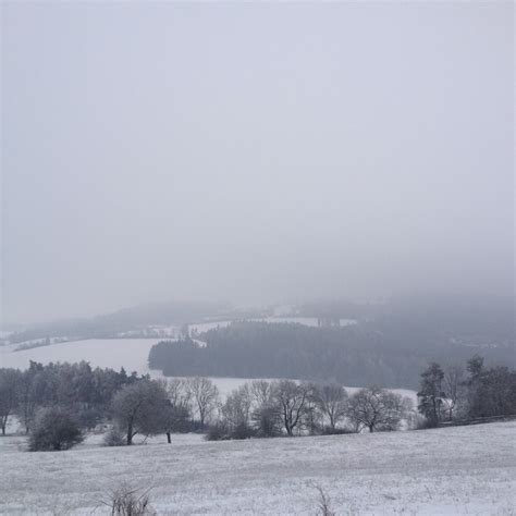 Stratocumulus Cloud Appreciation Society
