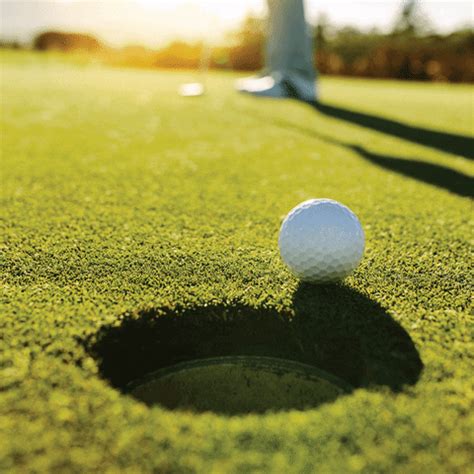 Golf Hole In One S Find And Share On Giphy