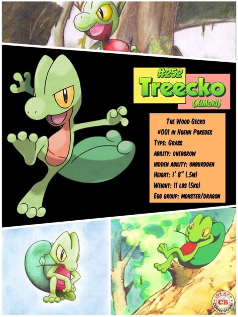 How To Draw Treecko Tutorial Pokémon Amino