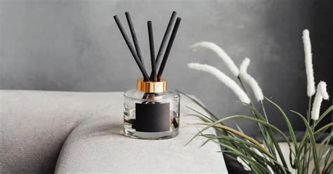 7 Best Organic Reed Diffusers To Make Your Home Smell Amazing Best