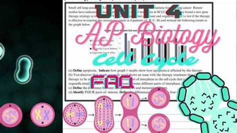 Ap Biology Curriculum Unit 4 Free Response Question Frq Cell Cycle And Mitosis