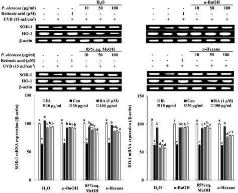 Effect Of Solvent‐partitioned Fractions H2o N‐buoh 85 Aq Meoh And