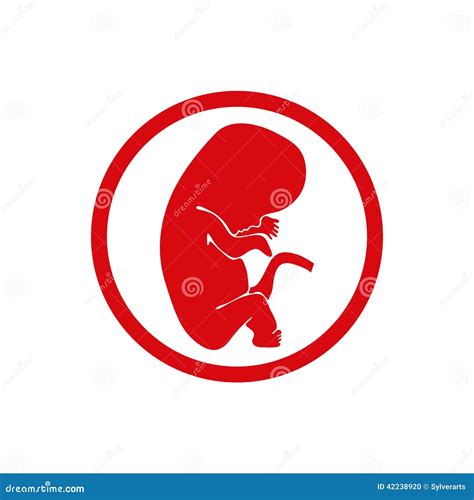 Fetus Vector Icon Isolated Stock Vector Illustration Of Face Body 42238920