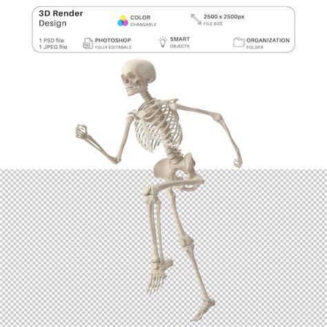 El Archivo Psd De Modelado 3d Del Esqueleto Archivo Psd Premium