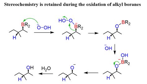 Hydroboration Oxidation Of Alkenes Regiochemistry And Stereochemistry