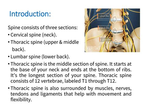 Solution Lecture No 15 Regional Assessment Lumbar Spine Pathologies Special Tests By Dr Chaman