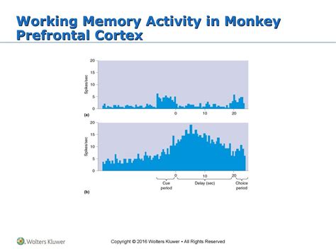 Chapter 24 Memory Systems Ppt Download