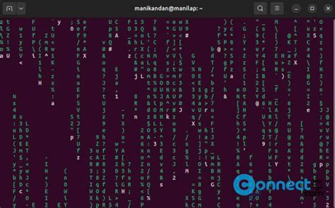 The Matrix Falling Green Characters On Ubuntu Terminal