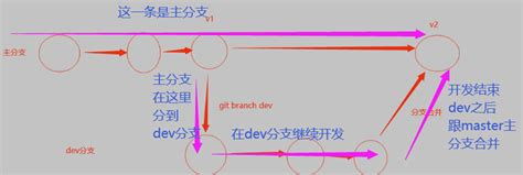 Git多分支 远程仓库 协同开发以及解决冲突 阿丽米热 博客园