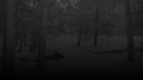 Vapor Hyperlite 2 Stick Senior