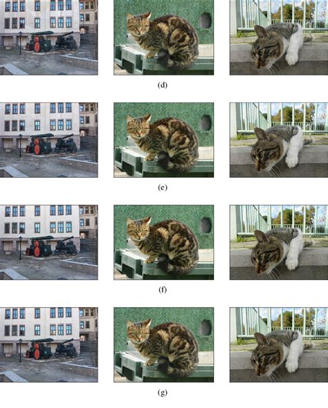 Figure 16 From Correlative Information Maximization Based Biologically