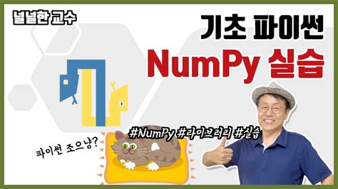 NumPy 라이브러리 기초실습 널널한 교수의 기초 파이썬 ft 파이썬 코딩 YouTube