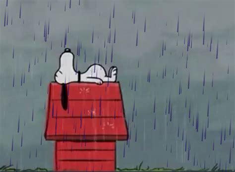 Snoopy Crying